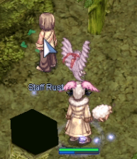 Ranger Job Change Quest Guide - THE ROGGH LIBRARY