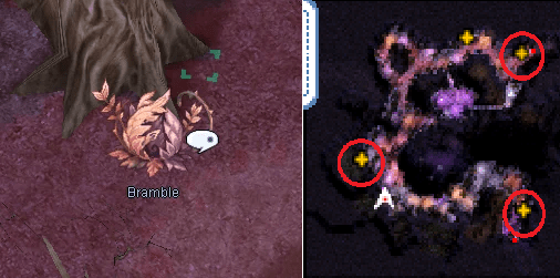 Phantom Clash - THE ROGGH LIBRARY